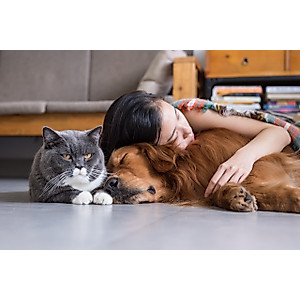 Peaceful Pets Calming Spray - Natural Stress Relief & Anxiety Relief for Cats & Dogs - Drug-Free Calming Solution