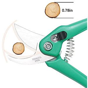 Madotree 8 inch Garden Pruning Shears,SK5 Blade Pruning Scissors,For Cutting Flowers, Trimming Plants, Bonsai and Fruits Picking