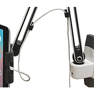 Displays2go, Extendable Wall Mounted Tablet Mount, Aluminum Construction – White, Black (IPROFLXWDA)