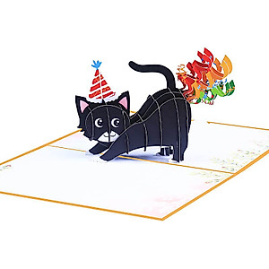 NAVWOD 3D Cat Farting Confetti Funny Birthday Card, Pop Up Birthday Card, Funny Birthday Card for Men, Women, Funny Birthday Cards for Husband, Wife, Friend, Mom, Dad and Every Cat Lover.