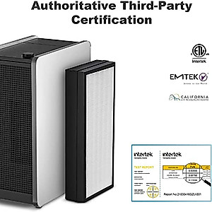 LUFTRUM Air Purifier Replacement Filter, AC400 H13 True HEPA