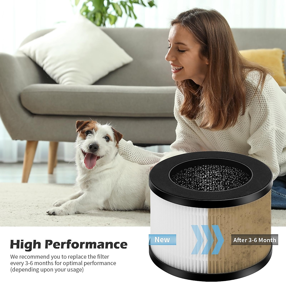 XBWW 2 Packs BW301 Replacement Filters Compatible with MORFY BW301 and AGILEBOW BW301 Air Cleaner Purifier, 3 in 1 filter with H13 True HEPA and Activated Carbon FIlter with Extra 4 Pieces Aroma pads