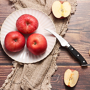 LAZIOPATER Bird Beak Paring Knife, Curved Paring Knives, German Stainless Steel, Peeling Knife, 3 Stainless Steel Rivet-Fastened Handles, Small Kitchen Knife Curved Blade, Gift Box