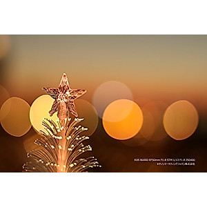 Canon DSLR camera EOS 8000D body 24.2 million pixels EOS8000D [International Version, No Warranty]