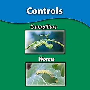 Monterey LG6328 B.t. Concentrate For Insects, 8oz.