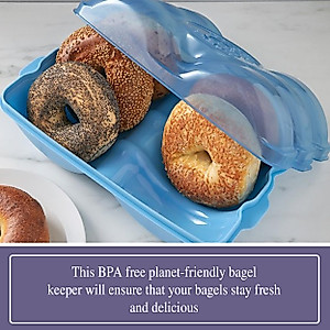 Bagel Fresh Container (1 Count, Holds 6) Fresh Bagel Keeper & Airtight Container for Bread Storage - Bagel Saver Container - Eco Friendly, Reusable Bagel Storage Container