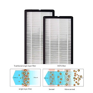XD6070 XD6075 True HEPA Filter Allergen Remover, Compatible with Rowenta PU4010 - PU4015, PU4020 - PU4025 Intense Pure Air Bedroom Auto Purifier, 2 Pack