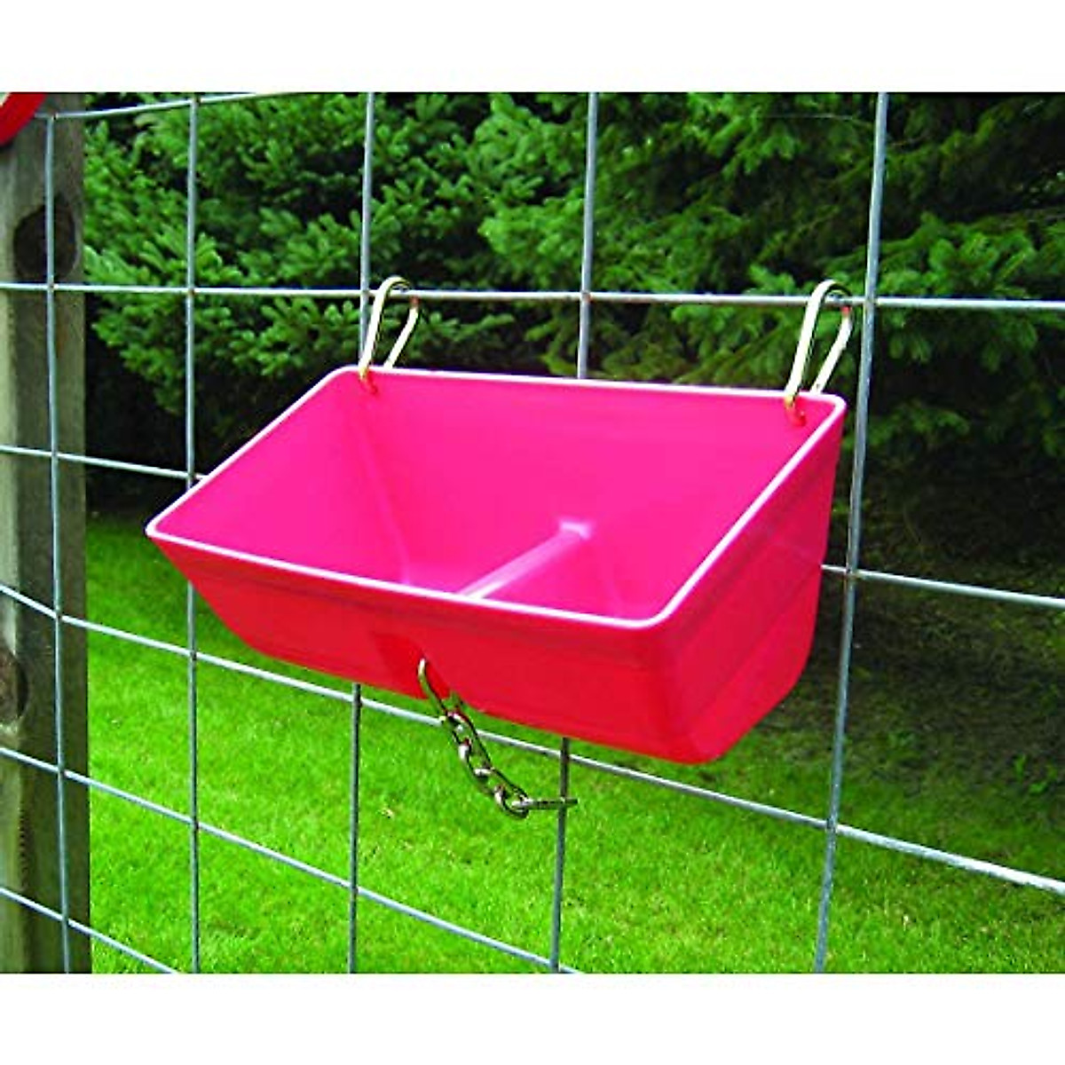 Little Giant FF16RED 9 Quart Heavy Duty Plastic Feed Trough Bucket Fence Feeder with Clips for Livestock & Pets, Red (2 Pack)