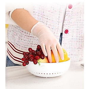 EDI Disposable Vinyl Gloves (Clear) - Powder-Free, Latex-Free (100, Medium)