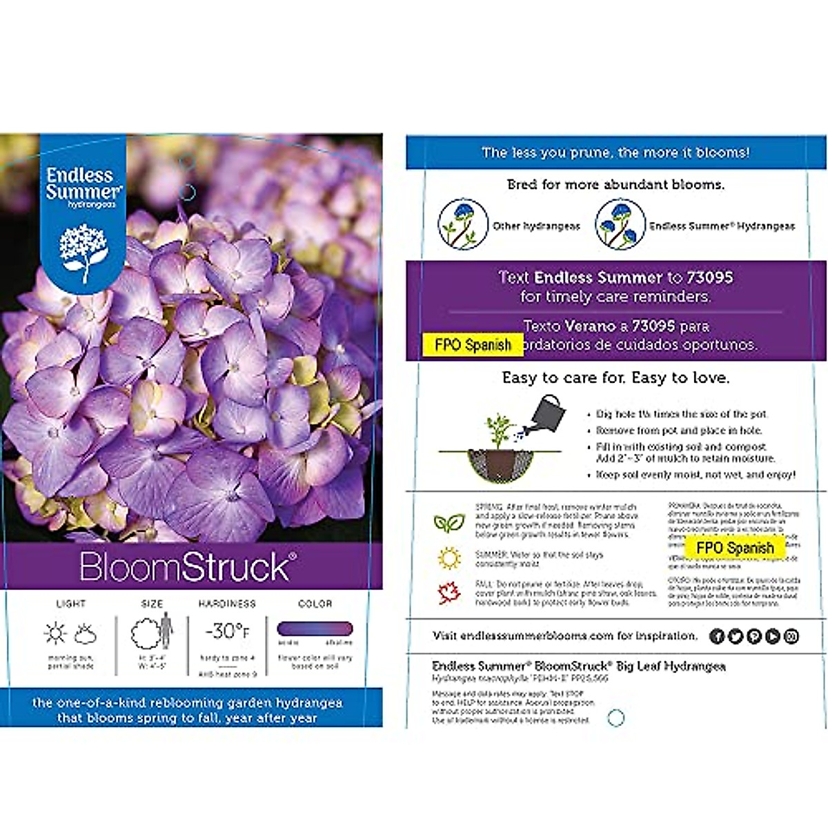 1 Gal. Endless Summer Bloomstruck Hydrangea