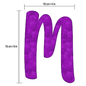 Miss to Mrs Classy & Sassy Bachelorette Purple Glitter Banner - Bachelorette Party Decorations, Favors and Supplies