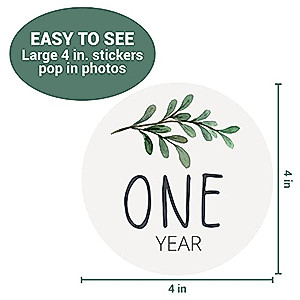 Baby Monthly Stickers | Greenery Botanical Baby Milestone Stickers | Boho Newborn Boy or Girl Stickers | Eucalyptus Month Stickers for Baby Boy | Gender Neutral | Unisex Sage Green Newborn Monthly Milestones (Set of 25)