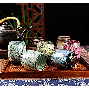 CteaTs Chinese/Japanese Style Ceramic Tea Cup Set Coffee Mug Asian Kung Fu Teacups Ceramic Yerba Mate Cup Set(5 Pack)