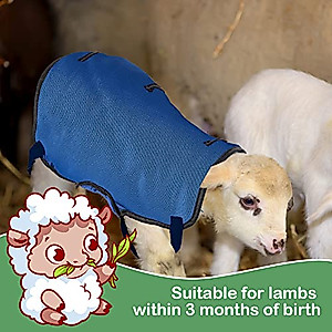 2 Pcs Goat Coat for Winter Goat Blanket Cold Weather Waterproof Windproof Goat Jacket Blanket to Keep Goat Warm Lamb Coat with Straps Thickened Belly Protection, Blue