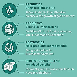 Garden of Life Dr Formulated Calm Daily 3-in-1 Complete Probiotics, Prebiotics & Postbiotics with Ashwagandha - PRE + PRO + POSTBIOTIC Supplement for Immune, Digestive & Mood Support - 30 Day Supply