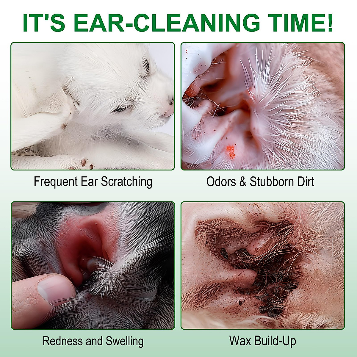 Xaarty Ear Cleaning Wipes for Dogs & Cats, Gently Remove Wax & Debris, Reduce Ear Inflammation, Finger Set Cellular Network Design, Rich in Fermented Coconut Oil and Aloe Vera, All Natural, 50 Count