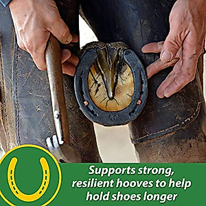 Farnam HB 15 Hoof Supplement, Supports Healthy hoof Growth 3 Pound, 48 Day Supply