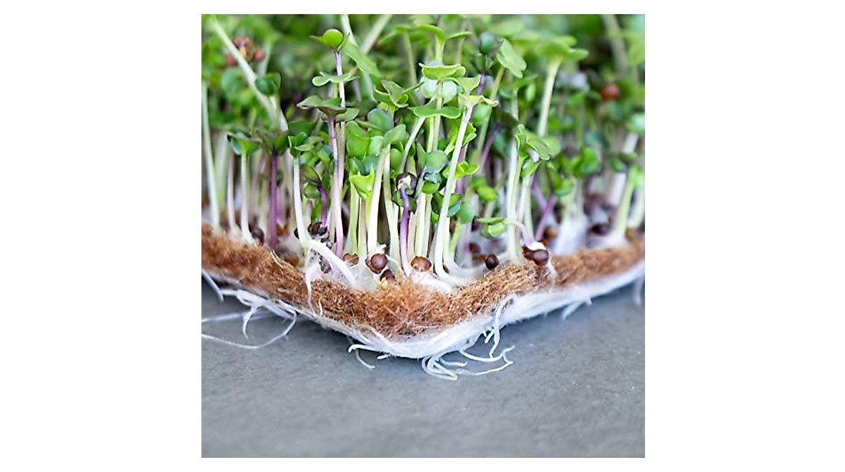 Pro Microgreens Grow Mats - Natural 10x20 Inches for Hydroponics
