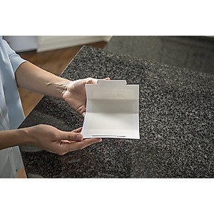 Tomcat Glue Boards with Eugenol for Enhanced Stickiness, 4 Per Box, 2-Pack