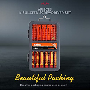 HORUSDY 1000V 6-Piece Mini Insulated Screwdriver Set, Magnetic Tip Mini Electrician Screwdriver Set Slotted(1.8mm,2.0mm2.5mm,3.0mm), Phillips: (PH00, PH0)