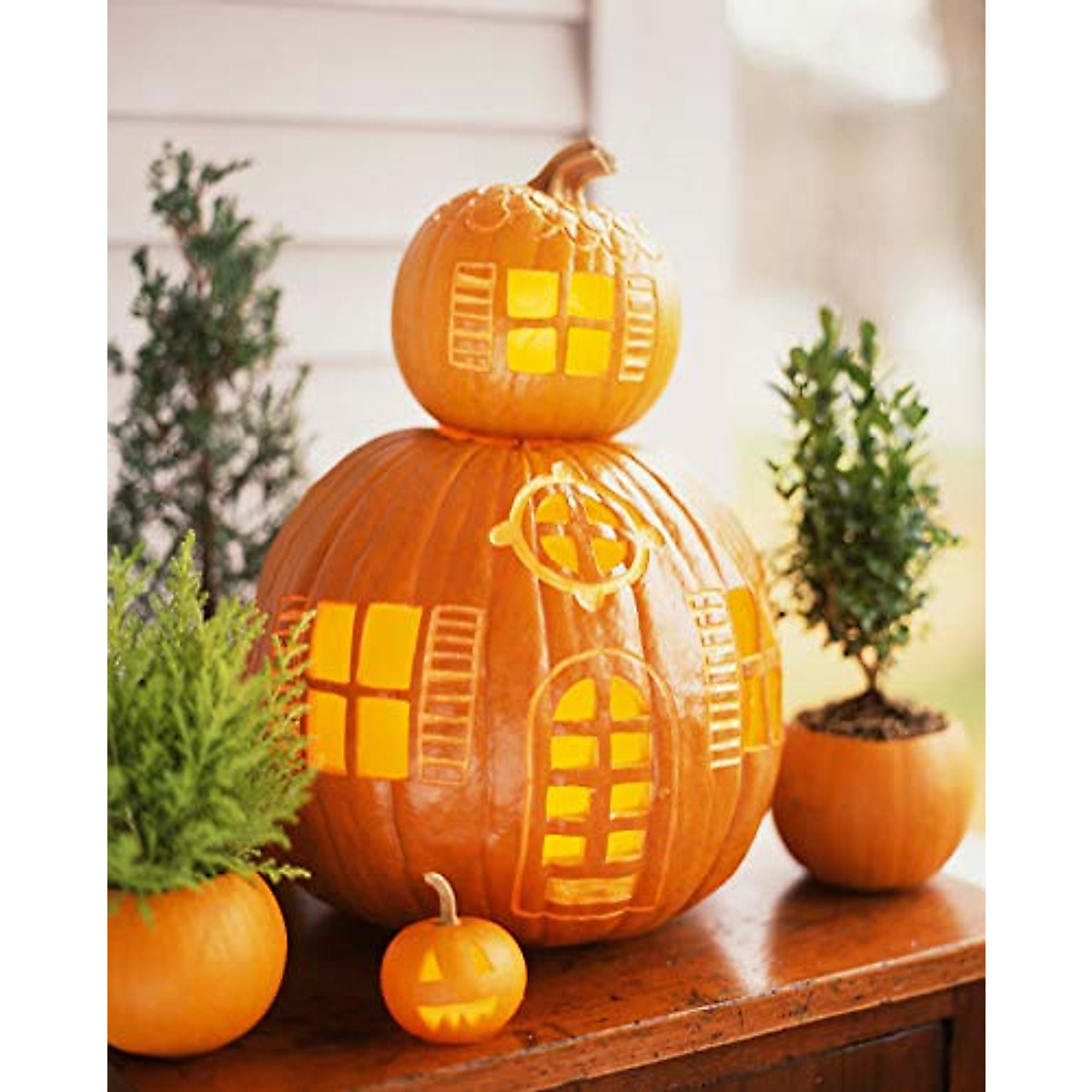 MIXED SEEDS! 50+ Pumpkin and Winter Squash MIX Seeds NON-GMO 25 Varieties Delicious Grown in USA. Rare, Super Profilic and Delicious HARLEY SEEDS