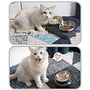 AYADA Raised Cat Food Bowl, Stainless Steel Cat Dish for Food Water Anti Vomiting Elevated with Stand Ergonomic Lifted Slanted Tilted 15 Angle Metal Single Kitty Kitten Wet Food Bowl Pet Bowl (Single)