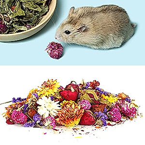 GLOGLOW Small Pet Bedding, Dried Flowers Padding for Squirrels Guinea Pigs Rabbits Chinchillas Hamsters Gerbils(100g) Treats