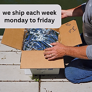 Cardinal Tetra Live Fish (8 Fish Pack) Small Size - Live Fish for Aquarium Exotic Freshwater Live Fish, Live Aquarium Fish, Live Fish, Live Freshwater Fish - Freshwater Fish Live Buy Live Fish