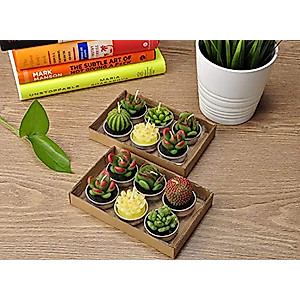 Cactus Tea Lights Candles, Terrarium Candle Gift Set for Mothers Day Valentines Day Gifts, Smokeless Handmade Cute Gifts Candles for Home Scented Birthday Wedding Props House Warming Party (12 Packs)