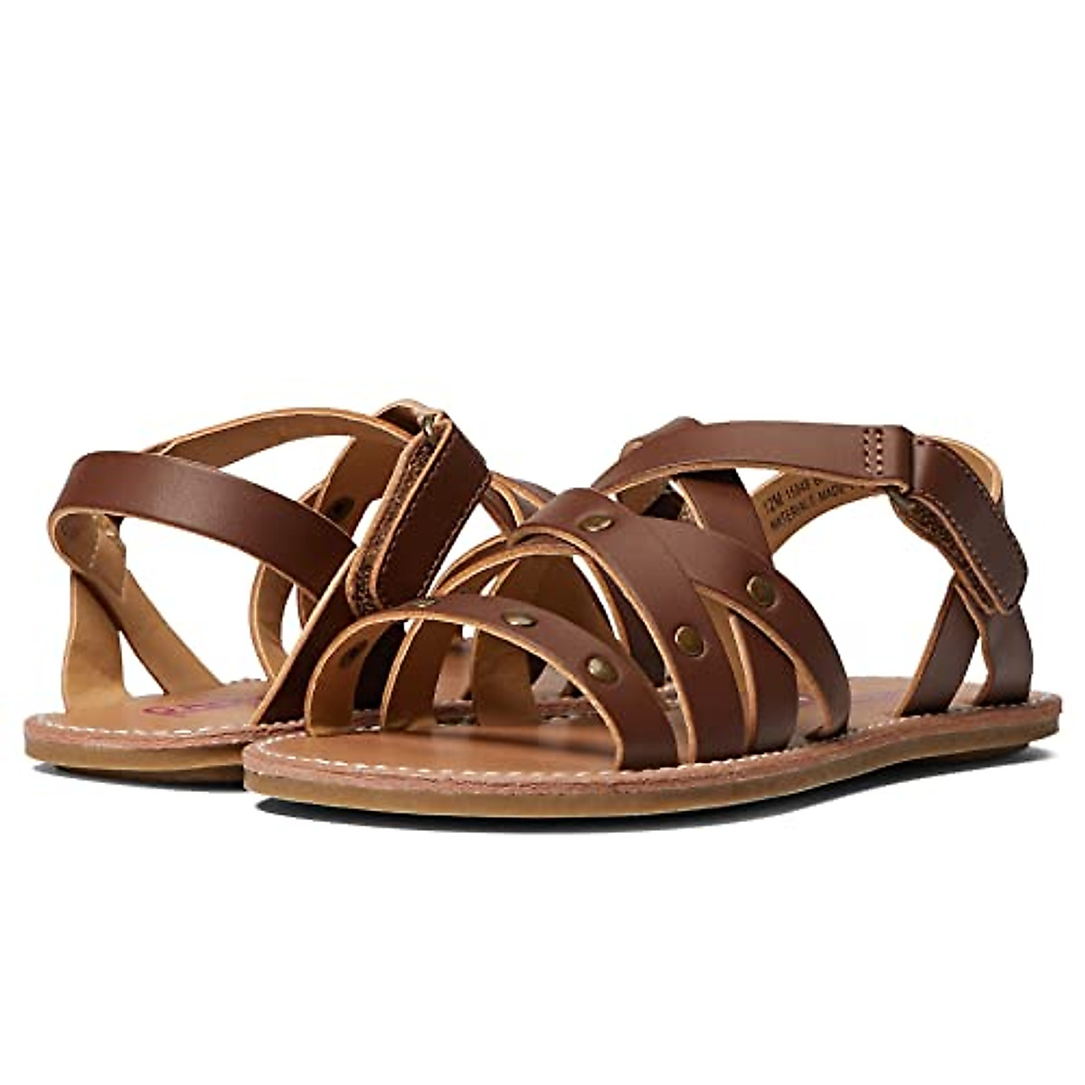 Rachel Shoes Girl's Brazil (Little Kid/Big Kid) Brown 3 Little Kid M