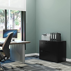 LISSIMO Lateral File Cabinet, 2 Drawer Metal Filing Cabinet with Lock, Home Office Storage for A4, Letter Size, Hanging File Folders(Black)