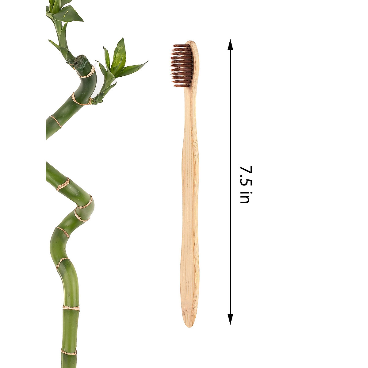 TanAisu Bamboo Toothbrushes with 10 Floss Picks, Travel Case - Biodegradable Toothbrushes (2 Brown, 2 Black, 2 White, 1 Purple, 1 Fuchsia) & Dental Floss Picks| Cover