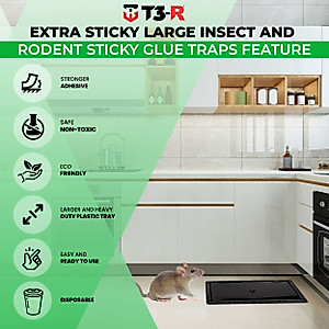 T3-R Sticky Traps for Bugs Extra Large (12 Pack) - Mouse and Insect Glue Boards - Disposable Non-Toxic Glue Traps for Mice and Rats - Extra Strength Sticky Glue Traps for Rodent