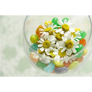 Canon EF-S 18-200mm f/3.5-5.6 IS Standard Zoom Lens for Canon DSLR Cameras - Grey Market non US Lens