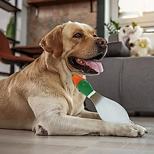 Ipetboom Dog Molar Plaything Squeaky Teething Toy Shaped Chewing Toy Funny Toy