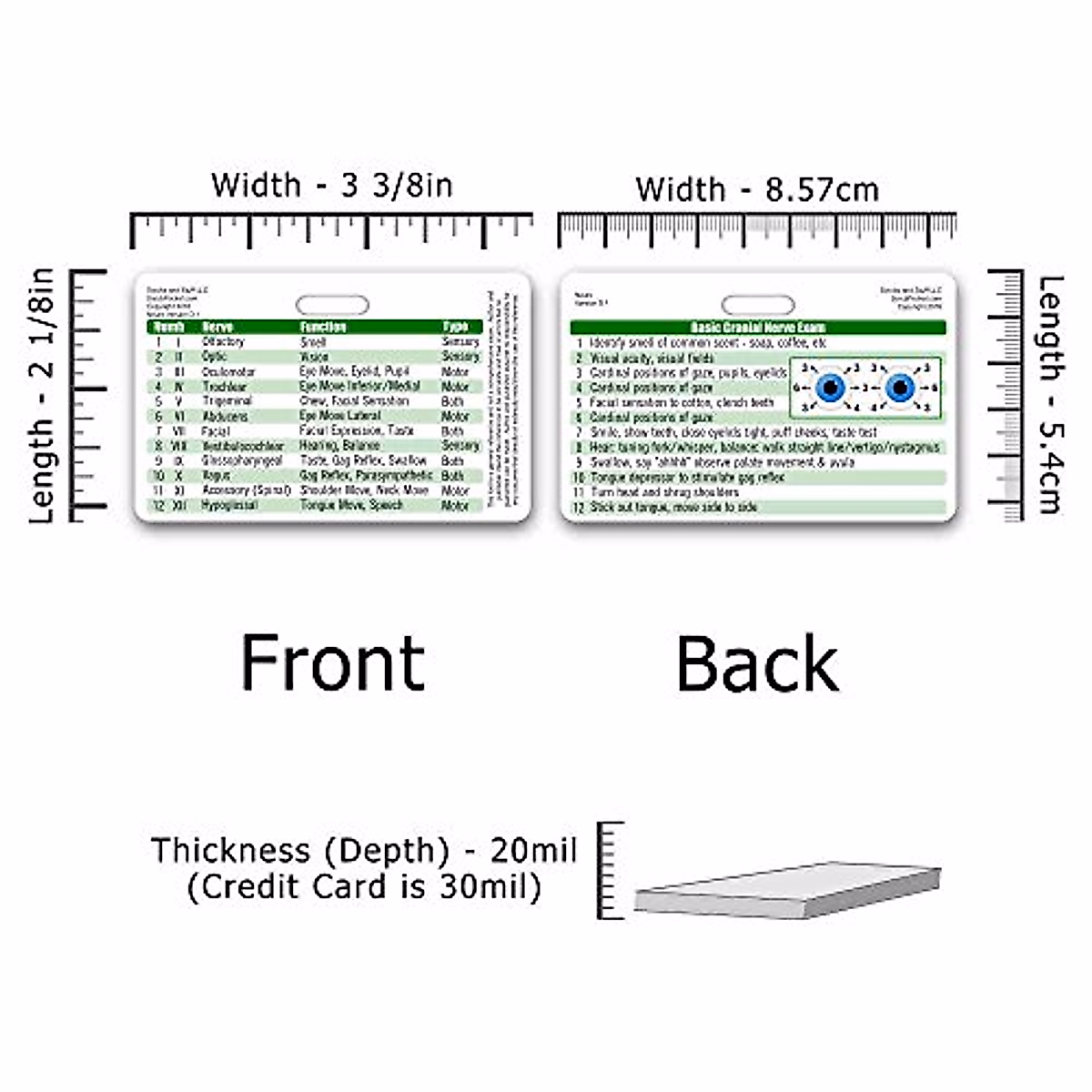 Cranial Nerve Exam Horizontal Badge Card (1 Card)