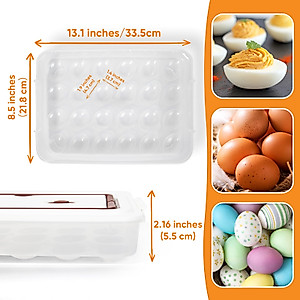 PIUGERU Deviled Egg Containers with Lid, (Set of 2), Plastic Deviled Egg Tray Carrier with Handle for 48 Eggs, Clear Storage Egg Platter for Devil Egg, Fridge Stackable Portable Egg Holder