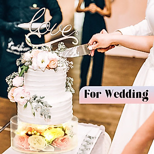 Tanlade 2 Pcs Clear Acrylic Fillable Cake Stand with 2 Pcs Round Foam Cake Dummies and 2 String Lights Clear Cake Riser 10 x 4'', 6 x 4'' 6pcs Fake Cake Decorative Centerpiece for Wedding Birthday