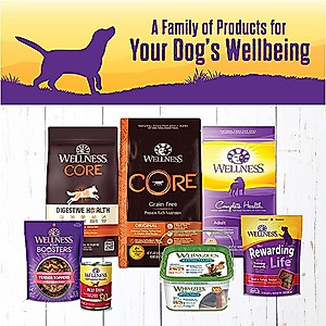 Wellness Thick & Chunky Natural Grain Free Canned Dog Food, Chicken Stew, 12.5-Ounce Can (Pack of 12)
