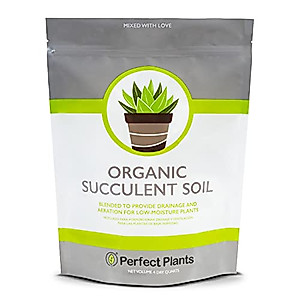 All Natural Succulent and Cactus Soil Mix by Perfect Plants | Made in The USA | 4 Quarts for All Succulent Varieties | Formulated for Proper Drainage