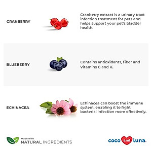 Cranberry for Dogs and Cats - 120g Powder - Urinary Tract Support, Cat UTI, Bladder Support, Dog UTI, Bladder Stones and Incontinence Support
