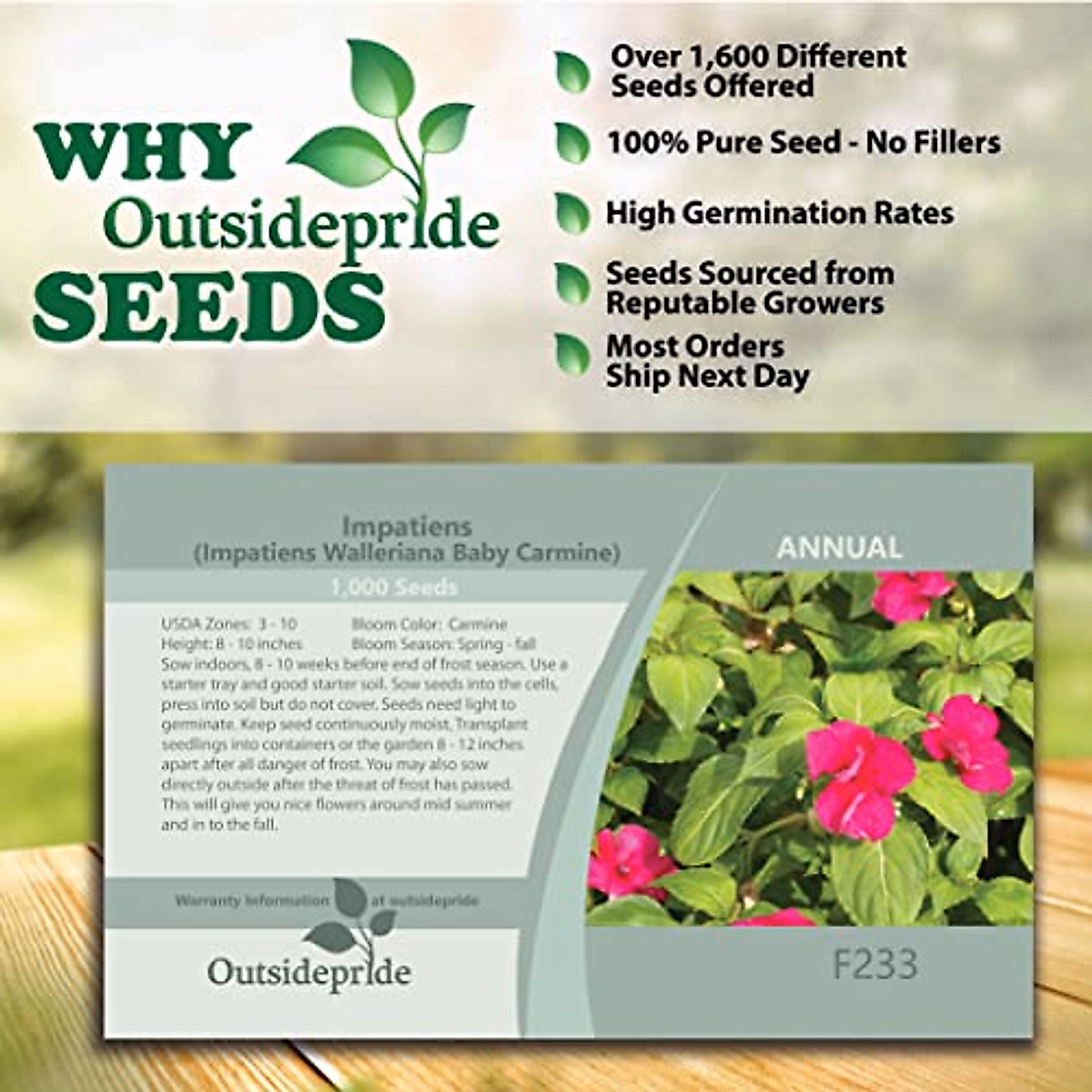 Outsidepride Impatiens Baby Carmine Garden Flower Plants for Pots, Hanging Baskets, Containers, Window Boxes - 2000 Seeds