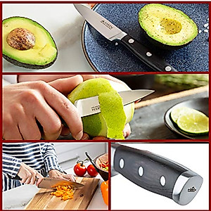 Saken Chef Knife and Paring Knife Set - 2-piece Professional Kitchen Knife Set with Ultra-Sharp, High-Carbon German Steel Blade and Ergonomic Wooden Handles - 8" Chef Knife, 3.5" Paring Knife