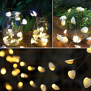 HDNICEZM Beach Seashell Decorative String Lights 14.1Ft 40 Warm White LED Waterproof Battery Operated Ocean String Lights for Bedroom Wedding Holiday Party Garden Indoor Outdoor Decorations