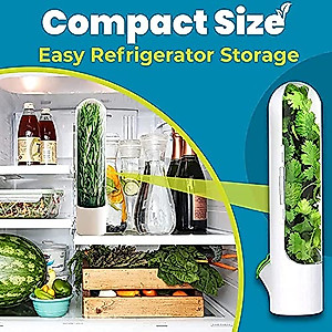 YXYYW Herb Saver Best Keeper for Freshest Produce, Lasting Refrigerator Herb Keeper, Containers, Clear Herb Savor Pod, Herb Storage Container for Cilantro Mint Asparagus (2PCS)
