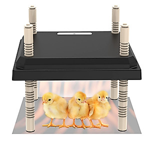 Tnarru (12'' x 12'') Chick Brooder Heating Plate, Brooder Heater for Chicks, Heat Plate with Adjustable Height and Angle for Chicken and Ducklings, Warms Up to 20 Chicks - 22 Watts