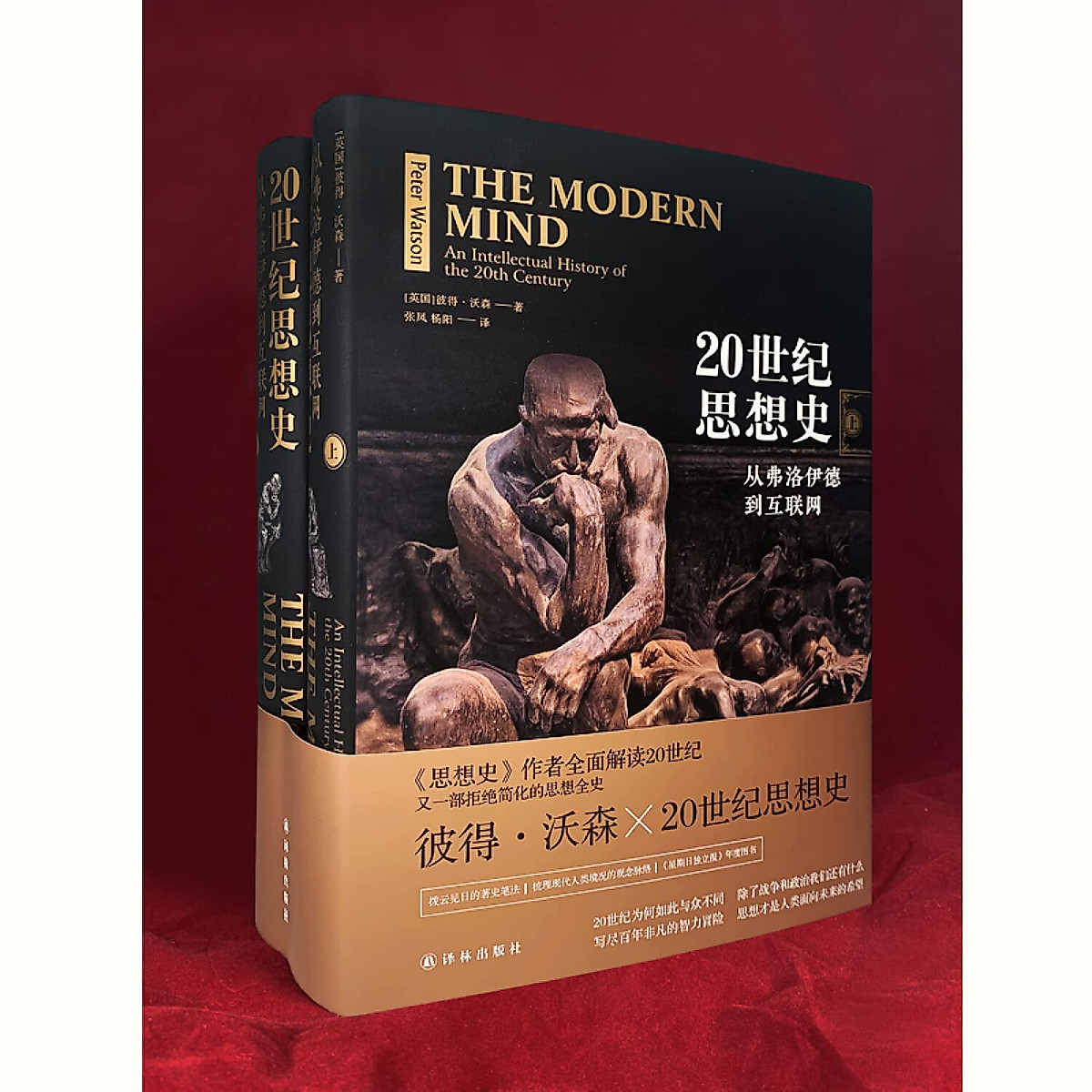 20世纪思想史(从弗洛伊德到互联网上下)(精)