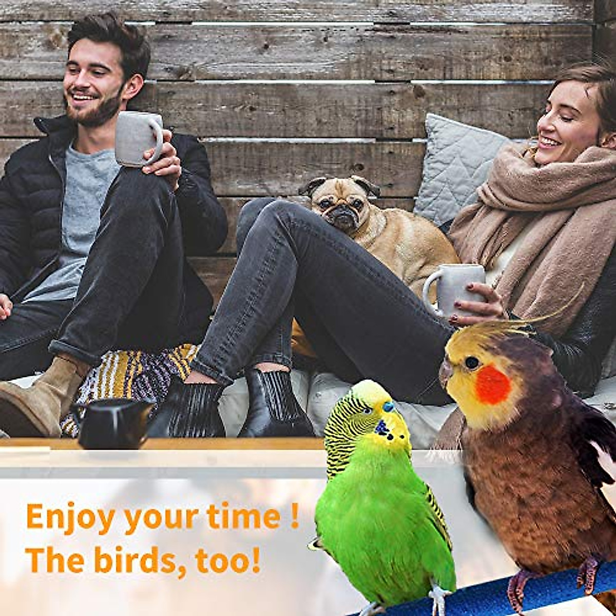 Bird Perches, 4 Pcs Wooden Bird Toys Luonfels, Colorful Bird Stand for Birds to Stand, Sleep and Chew by MoHern