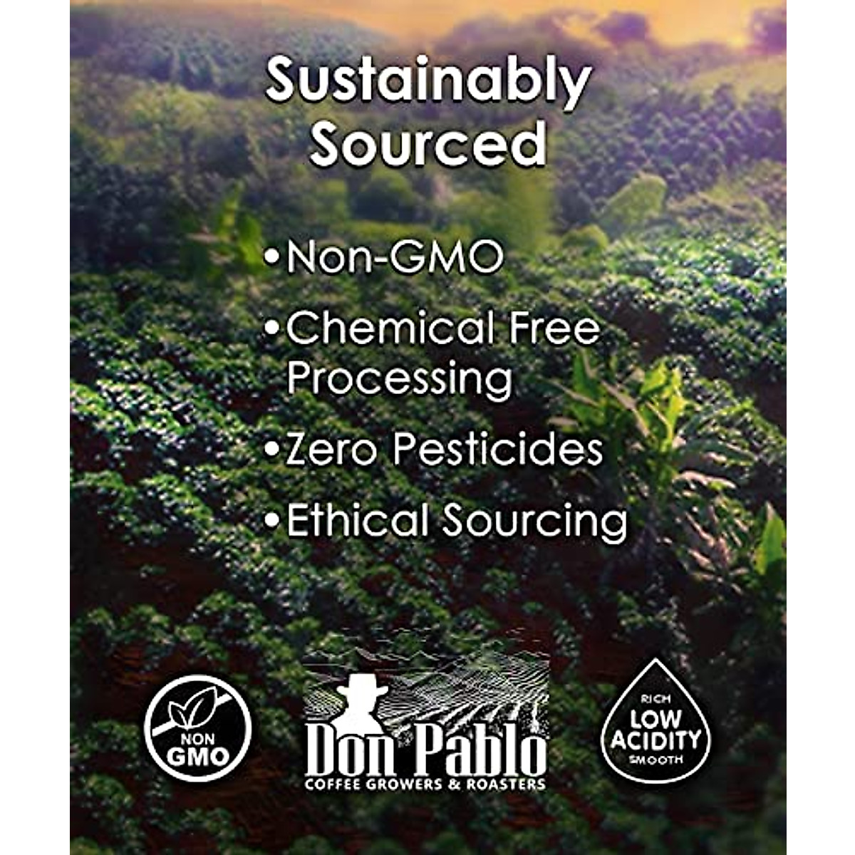 2LB Pablo's Pride Guatemala - Medium-Dark Roast - Whole Bean Arabica Coffee - Low Acidity - 2 Pound Bag