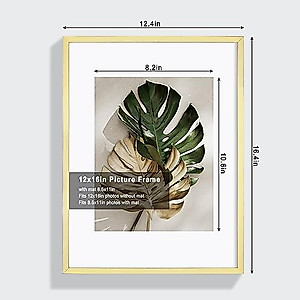 ccdcc 12x16 Aluminum Picture Frame Set of 2, Displays 8.5x11 Picture with Mat or 12 x16 Poster without Mat, Metal Wall Gallery Photo Frame - Gold